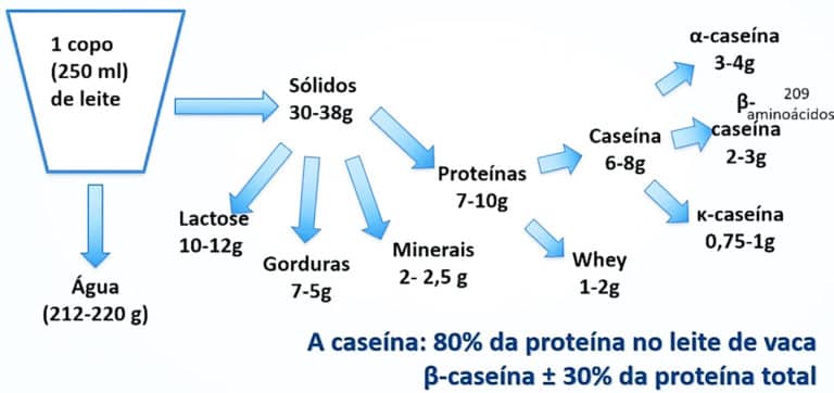 Leite A2 - Mais nutritivo e completo Ecotrace Solutions